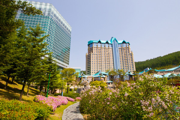 강원랜드, '청소년 도박근절 콘텐츠 공모전' 개최